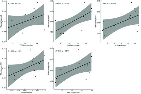 Correlation Analysis Between Macrophage M0 Cells And Crucial Genes The