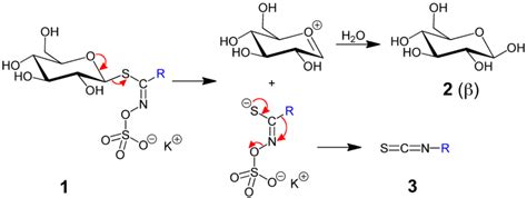 Sulforaphane Is A Nutrient You Should Know Nutrition Therapy Institute