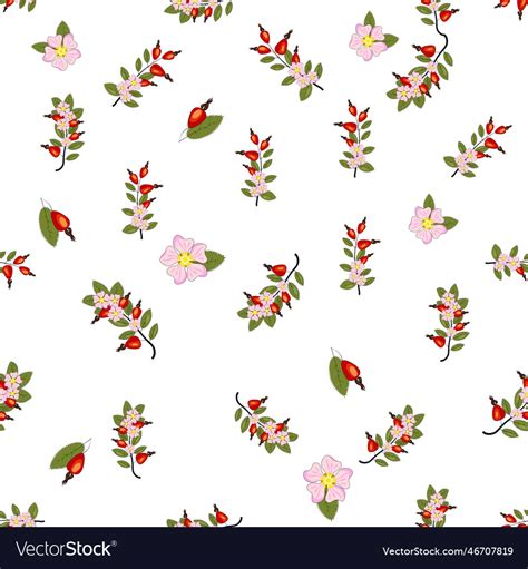 Seamless Pattern With Rosehip Berries And Flowers Vector Image