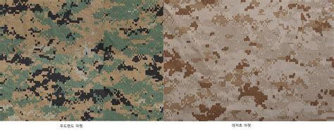 Bemil사진자료실 유용원의 군사세계