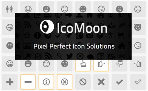 Icomoon Web Web