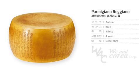 Cheese 파르미지아노 레지아노 Antica