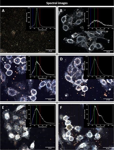 Dual‐modality Detection Of Intracellular Nanoparticles Via Smart