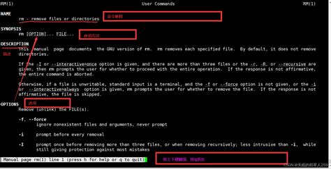 Linux基本指令总结（二）linux Ctrlc的命令 Csdn博客