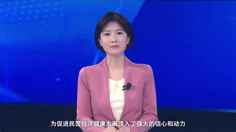 共绘高质量发展新图景——“中国经济圆桌会”聚焦2025年政府工作报告高清1080p在线观看平台腾讯视频