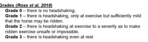 Neurological Horse With Normal Mentation Misc Flashcards Quizlet