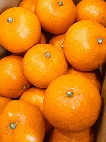 【未使用】1円スタート！！せとか10kg！愛媛県産 M～2lサイズの落札情報詳細 ヤフオク落札価格検索 オークフリー