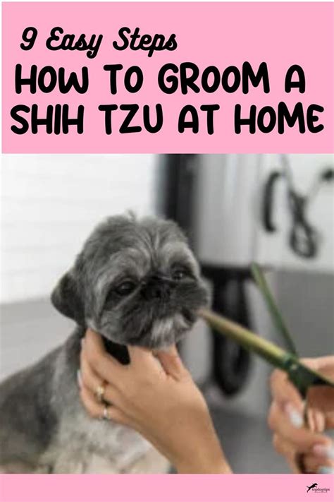 9 Easy Steps How To Groom A Shih Tzu At Home In 2024 Shih Tzu