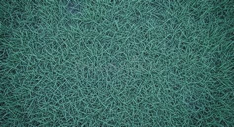 Overhead View Of A Uniformly Dense Field Of Teal Green Grass Blades