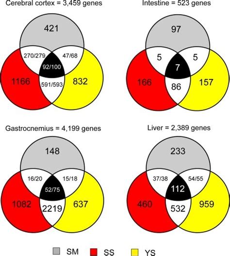 Effect Of Selenium Supplementation On The Number Of Differentially
