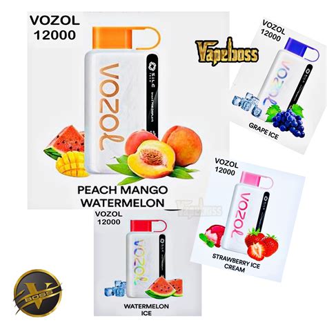 Vozol Star 12000 Puffs Disposable Vape Boss
