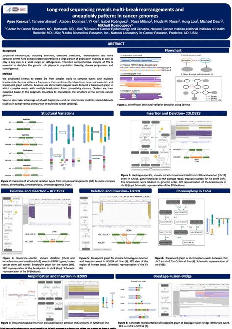 Long Read Sequencing Reveals Multi Break Rearrangements And Aneuploidy Patterns In Cancer Genomes