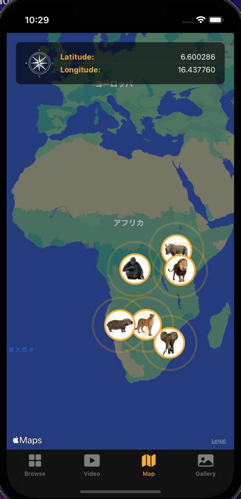 Swiftui Animal Dictionary App Africa Ver