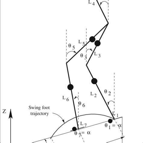 A Schematic View Of A Two Legged Robot7 Dof Moving Down The Sloping