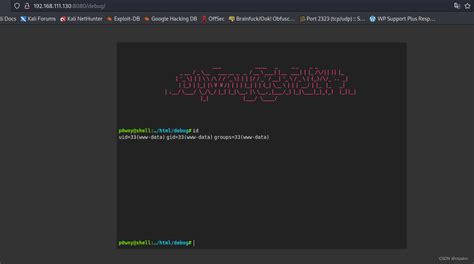 Vulnhubmisdirection 1靶机misdrection靶机 Csdn博客