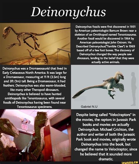 Deinonychus Deinonychus Fossils Were First Discovered In 1931 By