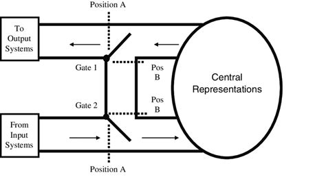 2 Stylized Representation Of The Gateway Hypothesis Version 1 Of Download Scientific Diagram