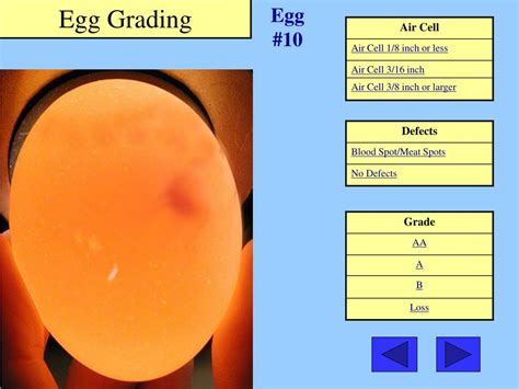 Egg Grading Cost At Ana Means Blog