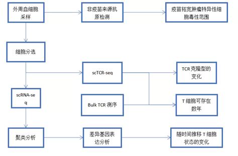 文献解读 单细胞测序评估肿瘤疫苗疗效 科研动态 上海伯豪生物技术有限公司 服务科技创新，护航人类健康！