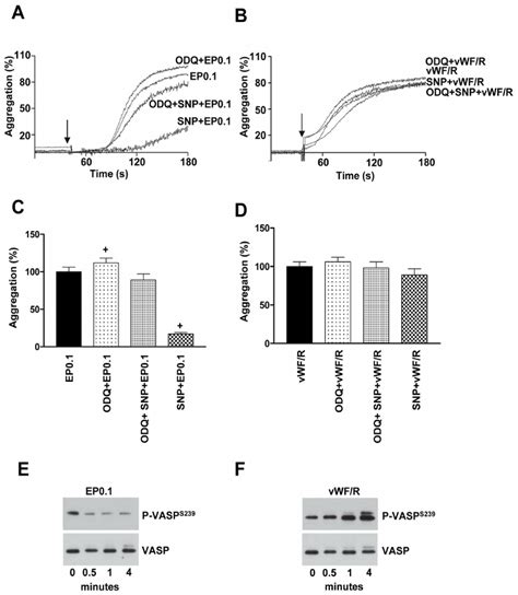 Activation Of Sgc Inhibits Platelet Aggregation Induced By Echicetin