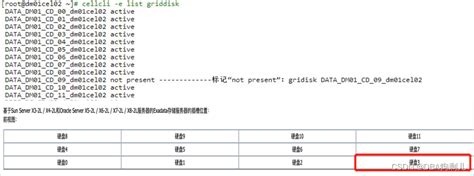 Exadata一体机cell节点换盘操作oracle Cell Csdn博客