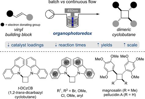 Dimeric Cyclobutane Formation Under Continuous Flow Conditions Using