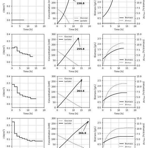 Optimization Results For The Lactate Fermentation Considering Different