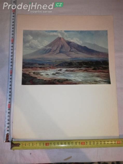 Prodám Basuki Abdullah Indonesia Litoměřice Budyně Nad Ohří Inzerce Bazar