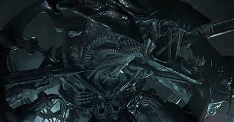 Xenomorph Queen Every Hive Mother Matriarch And Empress R Lv426