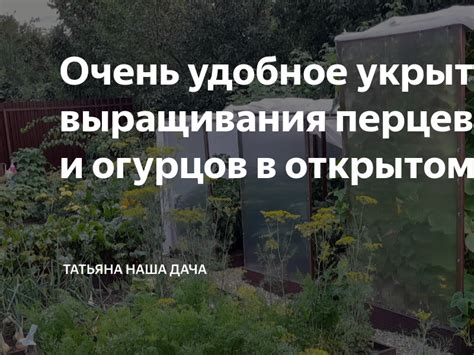 Очень удобное укрытие для выращивания перцев томатов и огурцов в