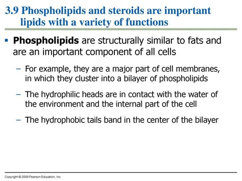 Chapter 3 The Molecules Of Cells Lecture By Richard L Myers Ppt Download
