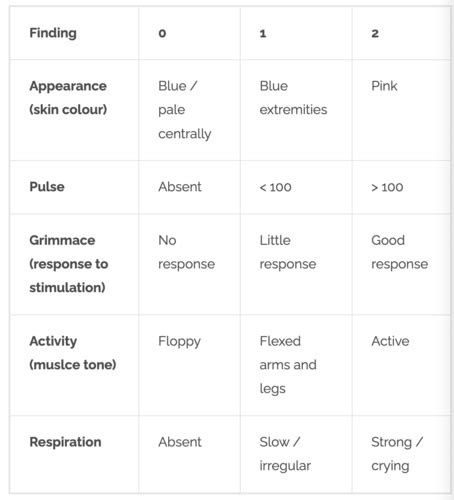 Neonatal Resuscitation Flashcards Quizlet