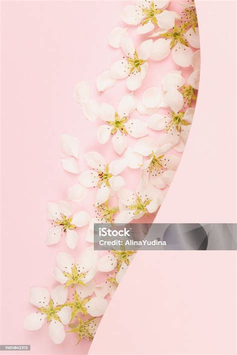 하얀 여름 꽃이있는 낭만적 인 휴일 꽃 분홍색 배경 광고 포스터 전단지 디자인 상단보기 복사 공간 수직을위한 파스텔 핑크의