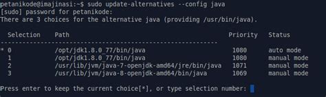 Cara Menggunakan Banyak Jdk Di Linux Agar Tidak Bentrok