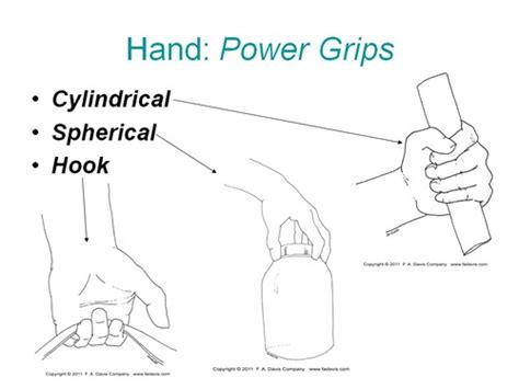 Reach Grasp And Manipulation Flashcards Quizlet