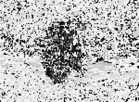 Example Of The Image With The Linear Classifier Weights For Each Visual
