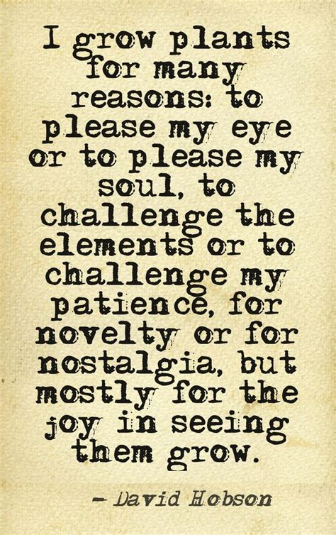 Plant Growing Quotes Quotesgram