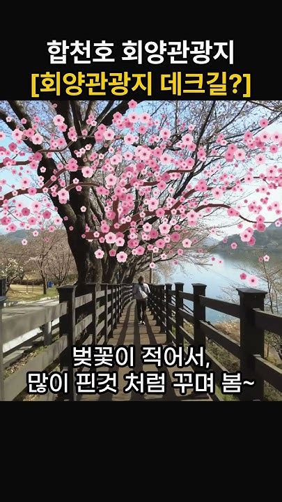 회양관광지 데크길 합천호 회양관광지 Youtube