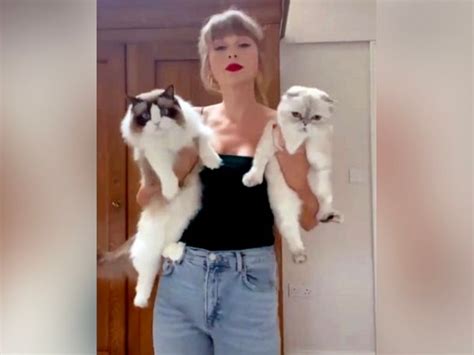 Taylor Swift Cat Meredith Instagram