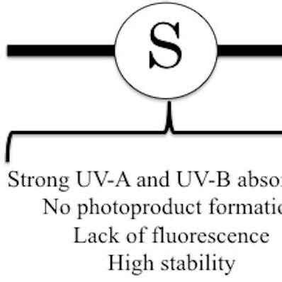 UV Radiation And The Skin Figure Depicts The Interaction Of UV A And Download Scientific
