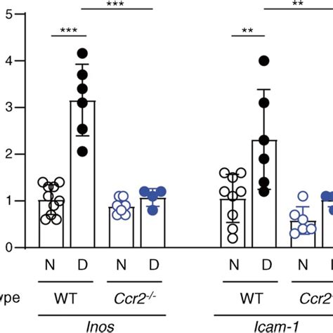 Effect Of Ccr2 Deficiency And Diabetes On Monocytes Representative Download Scientific Diagram
