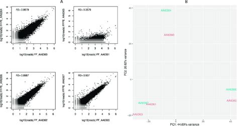 Comparison Of Gene Expression Between Ff And Ffpe Samples A Download Scientific Diagram