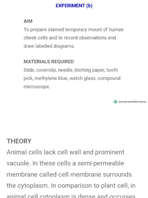 Std Ix Experiment 02 Human Cheek Cell Pdf