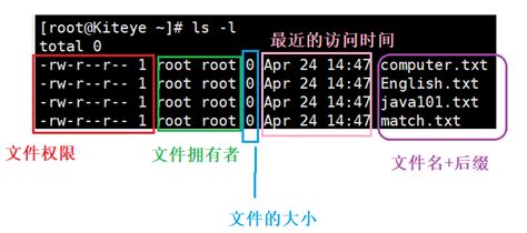 Linux常用命令 Web程序部署linux部署web项目常用命令 Csdn博客 Linux常用命令 Web程序部署linux部署web项目常用命令 Csdn博客