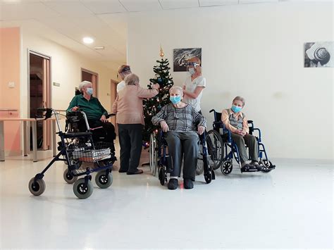 KRASITEV NOVOLETNIH JELK DOM LIPA