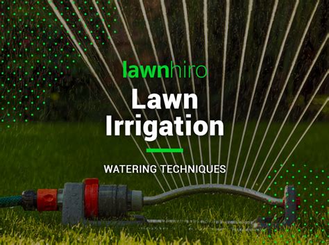 Lawn Irrigation Watering Techniques Lawnhiro Blog