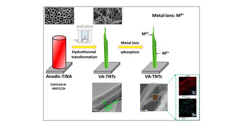 Vertically Aligned Titanate Nanotubes Hydrothermally Synthesized From