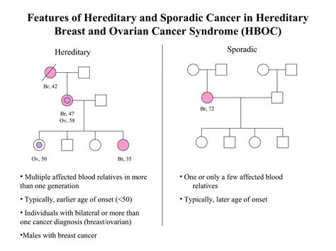 Hereditary Breast And Ovarian Cancer Clinic Visit Visual Aids Mayo