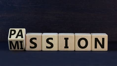 Path Program Nyu Steinhardt