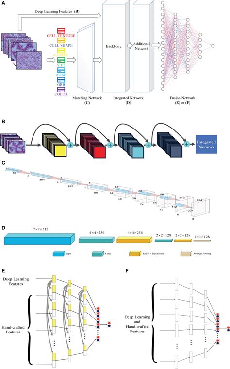convolutional neural what is image classification by amima 48 off